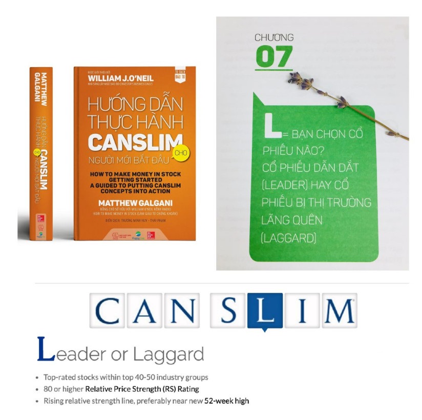 [CANSLIM] Bài 6: Tiêu chí L trong CANSLIM – Cổ phiếu dẫn dắt hay cổ ...